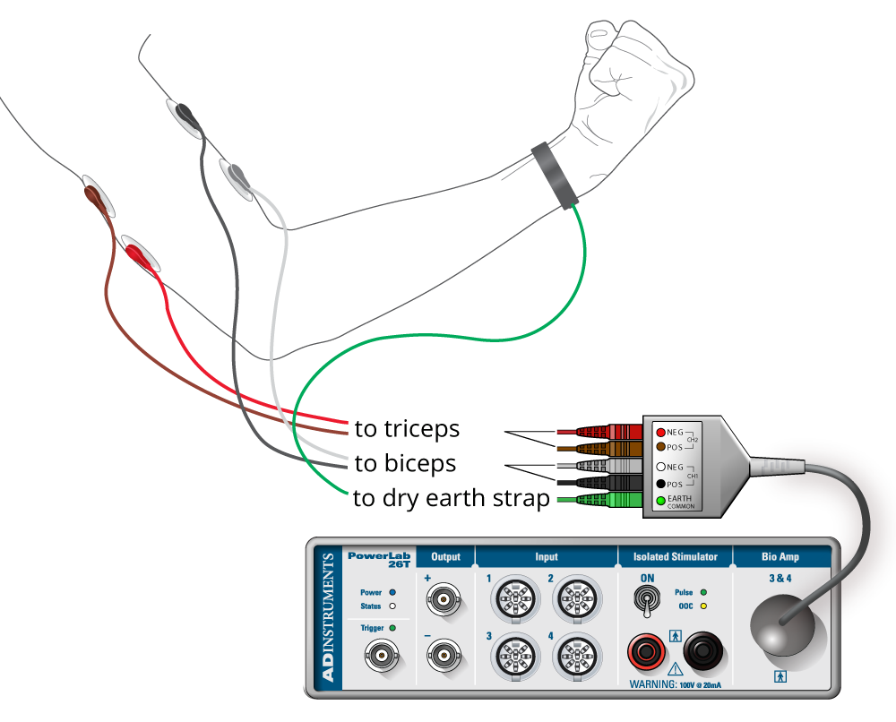Settings for Sampling Panels in Lt - 2-channel EMG | ADInstruments